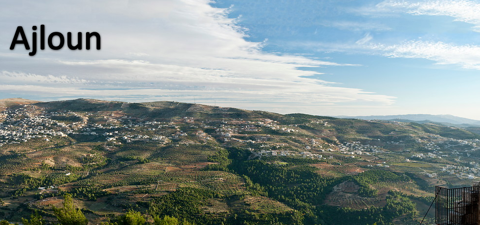 Ajloun Castle | Jordan Day Tour Day And More | Ajloun Governorate