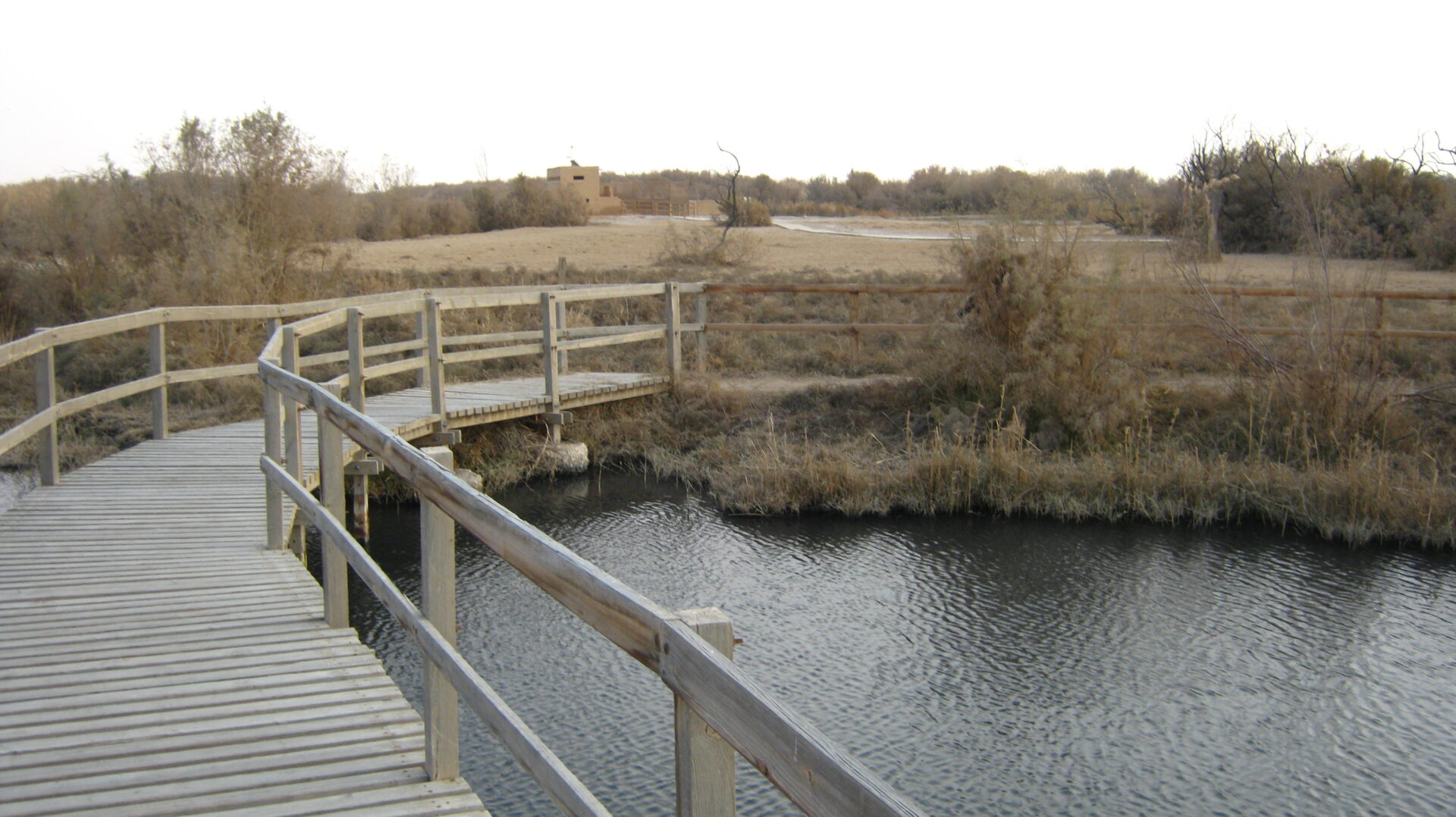 Azraq Wetland Reserve: A Cultural and Natural Haven