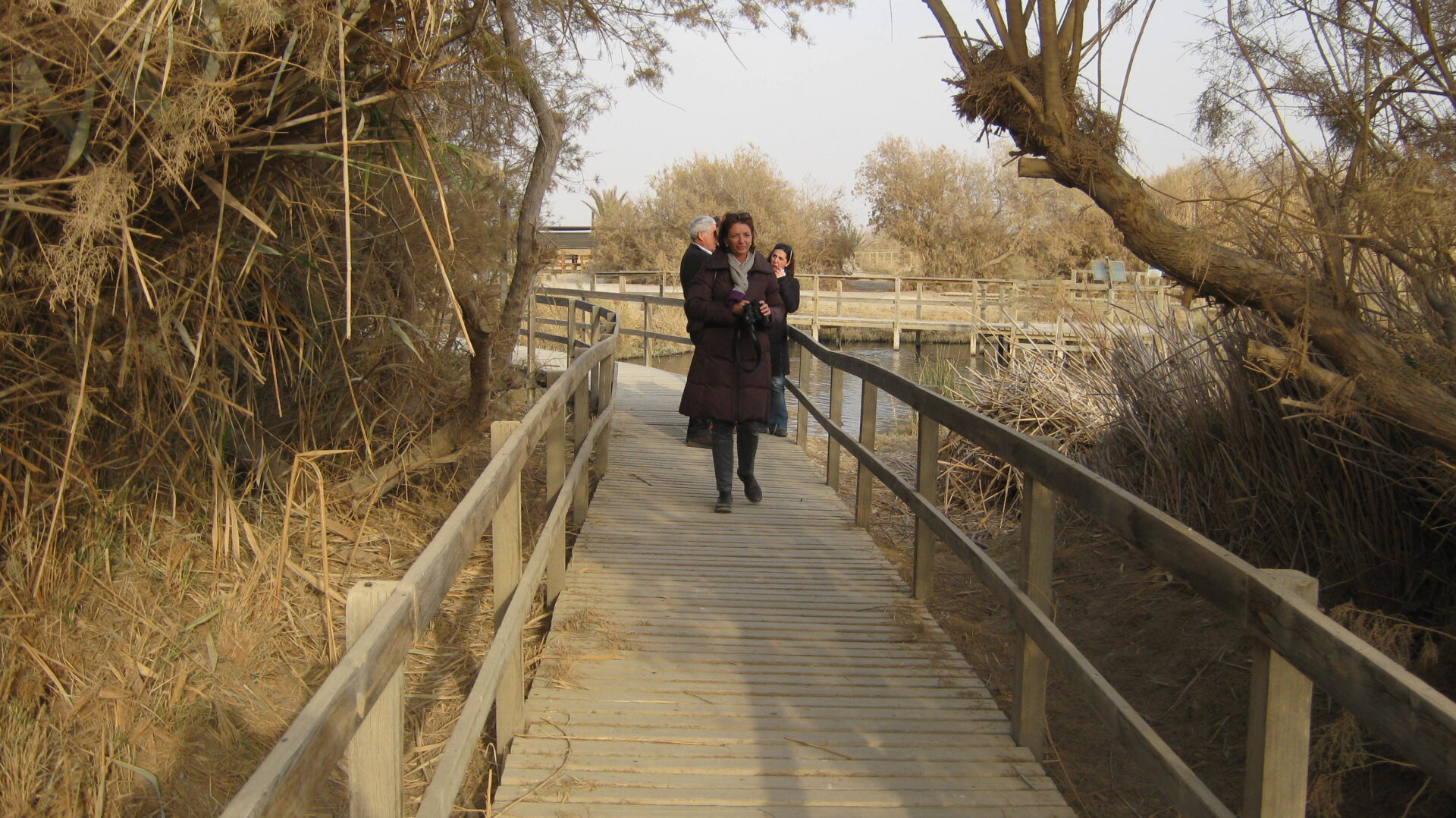 Azraq Wetland Reserve: A Cultural and Natural Haven